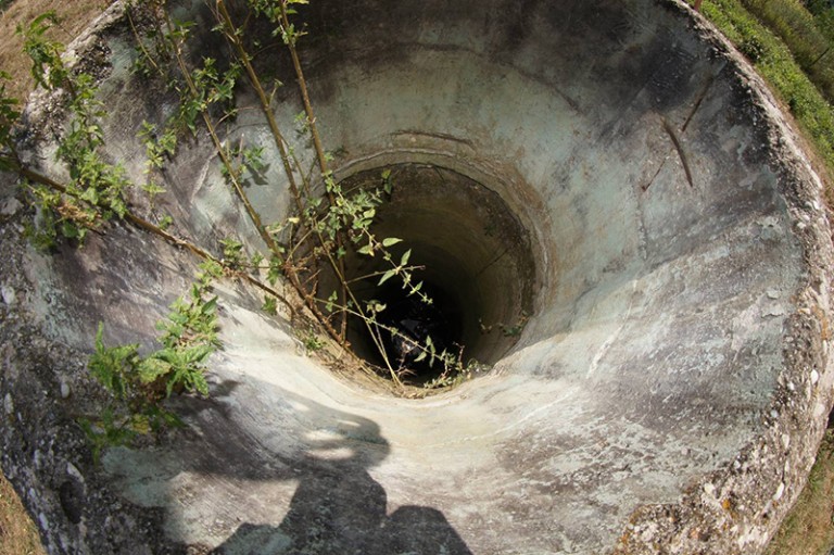 Dorian Delureanu Matricea Romaneasca (7) - Matricea Românească