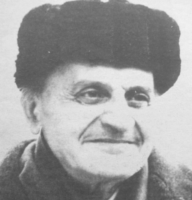Constantin Noica, Jurnal de idei. Autenticitatea ideilor neprimite de-a ...