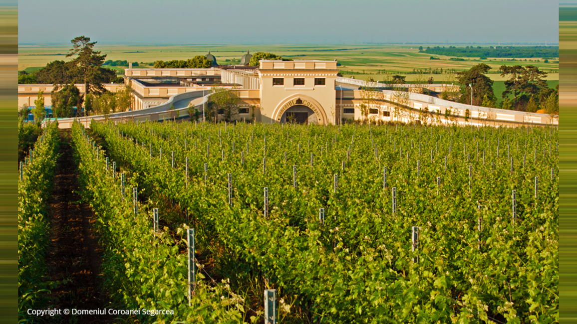 Turismul vitivinicol în România – de la podgorii regale la arhitecturi ...